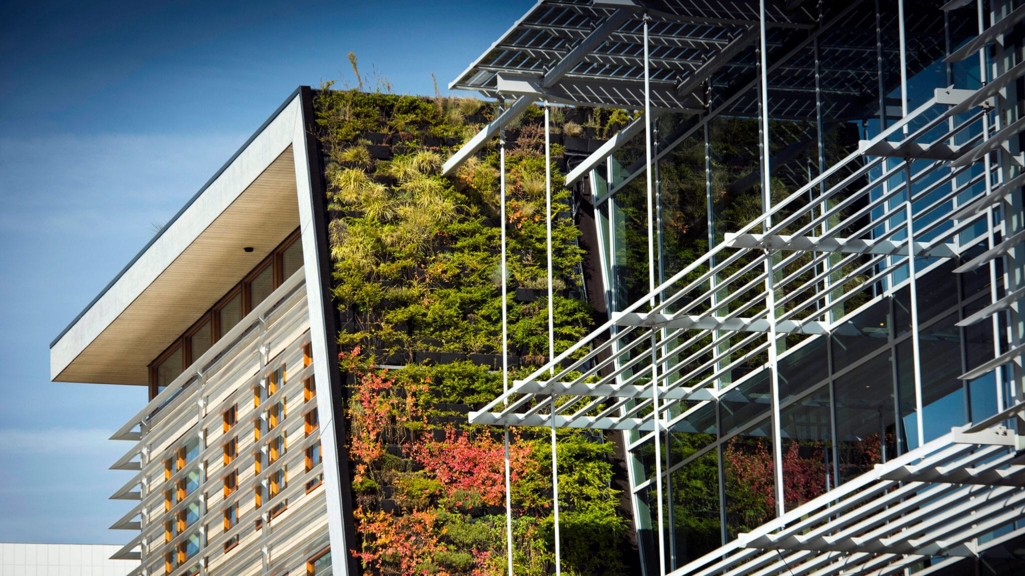 Projects - William McDonough + Partners