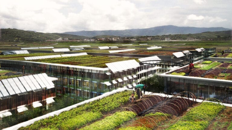 Concept for Rooftop Farming - William McDonough + Partners