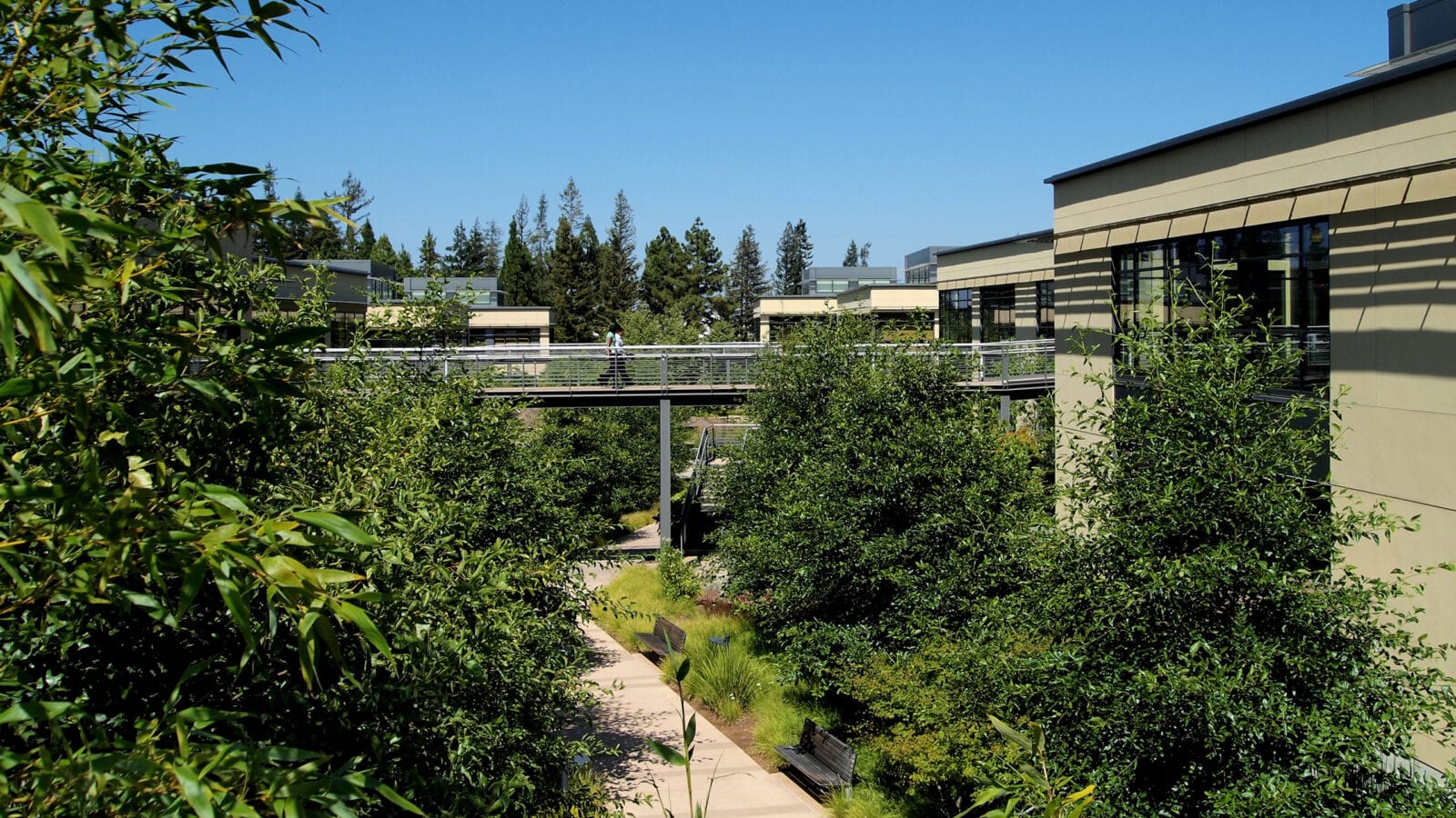 VMware Corporate Campus - William McDonough + Partners