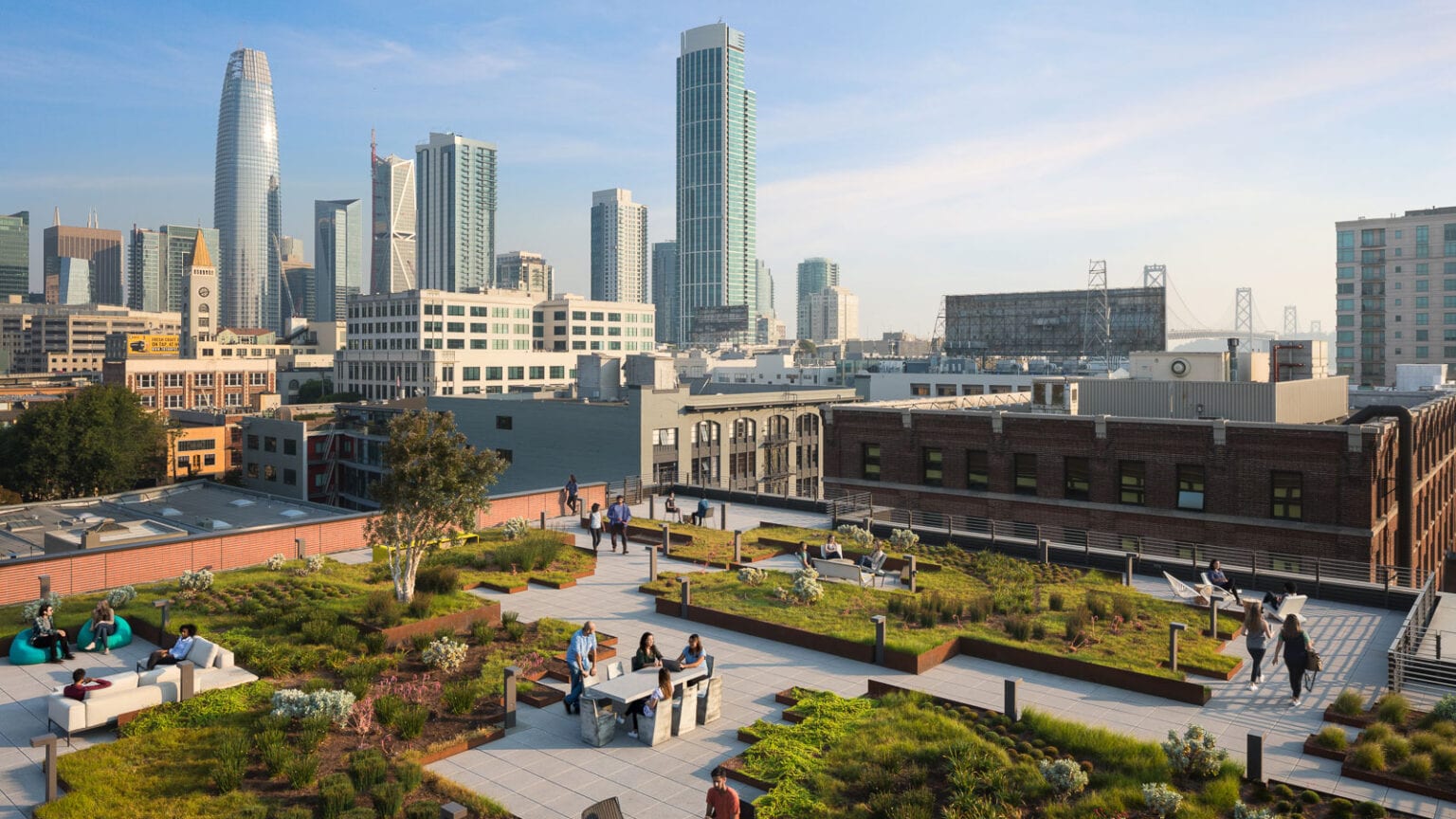 About - William McDonough + Partners